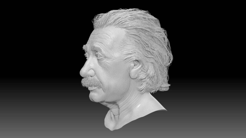 Albert Einstein 3D portrait for a hologram. Facial animation / rigging