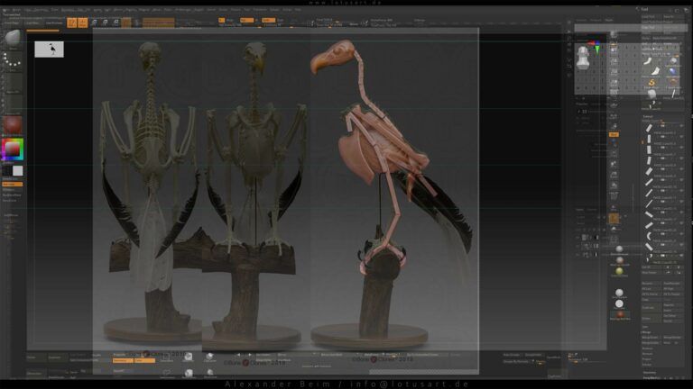 3D Bald Eagle, rigged and animated for the 'Adler Mannheim' trailer