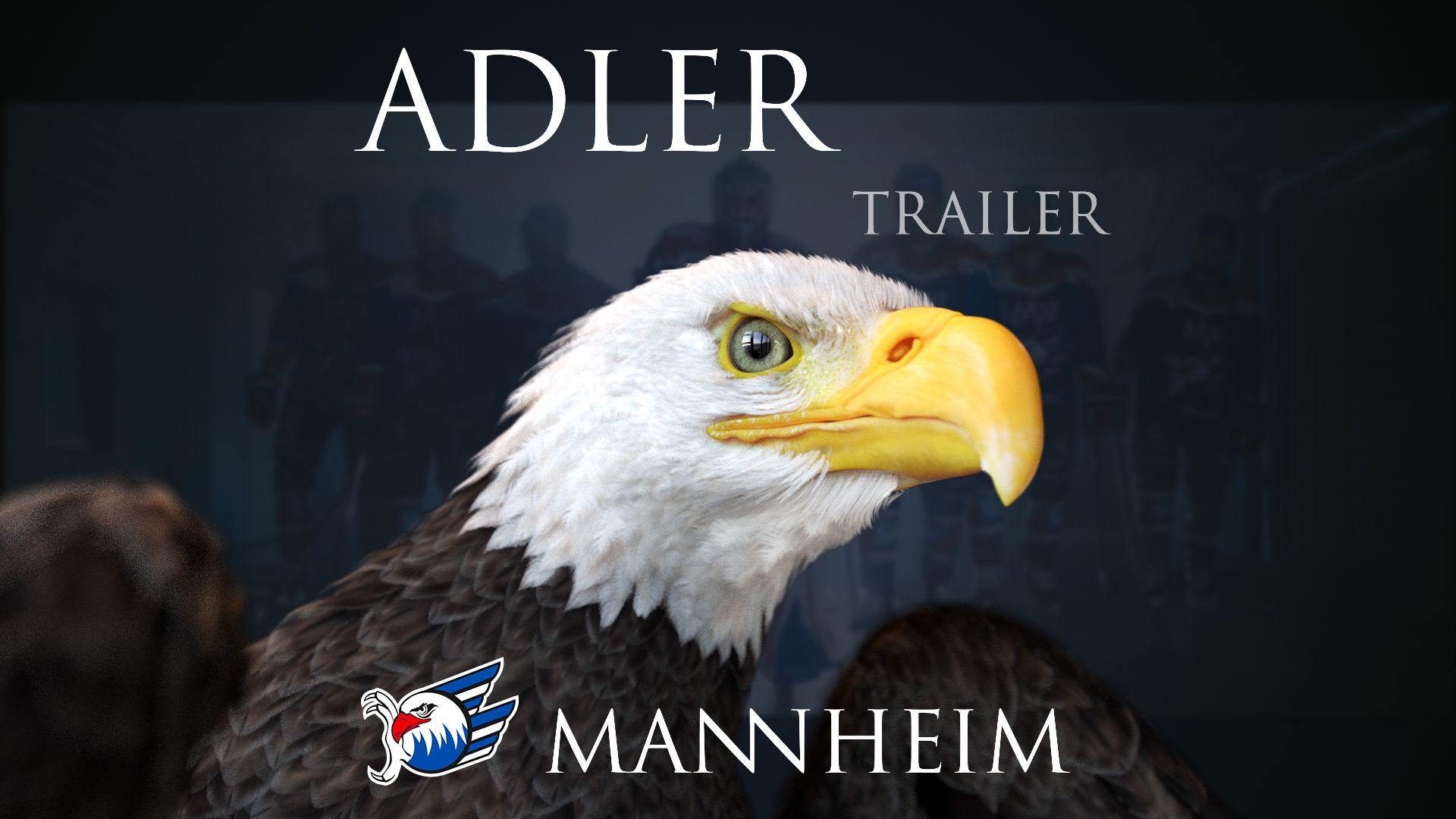 3D Bald Eagle, rigged and animated for the 'Adler Mannheim' trailer