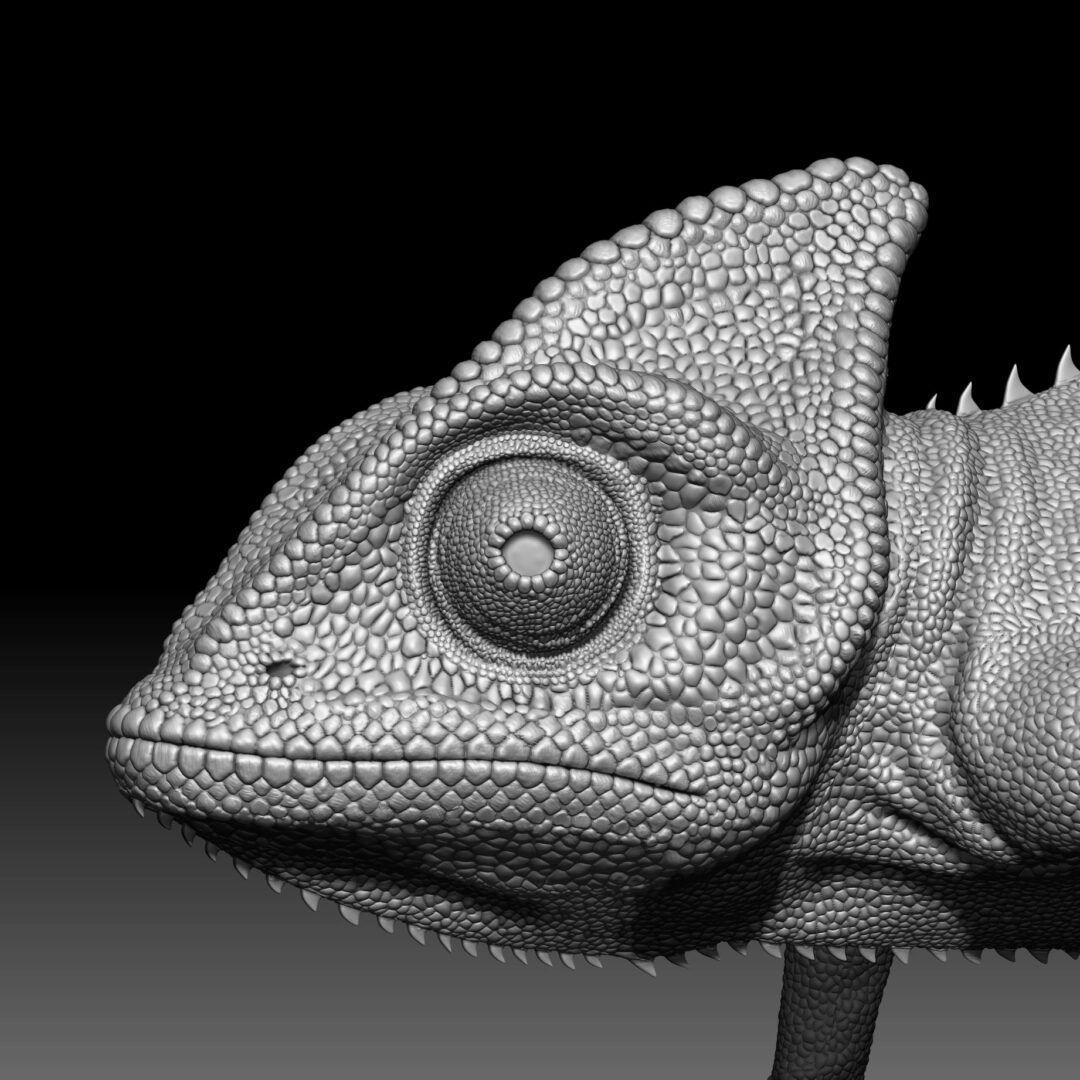 Photo-realistic Rigged Chameleon Maya Model for Download