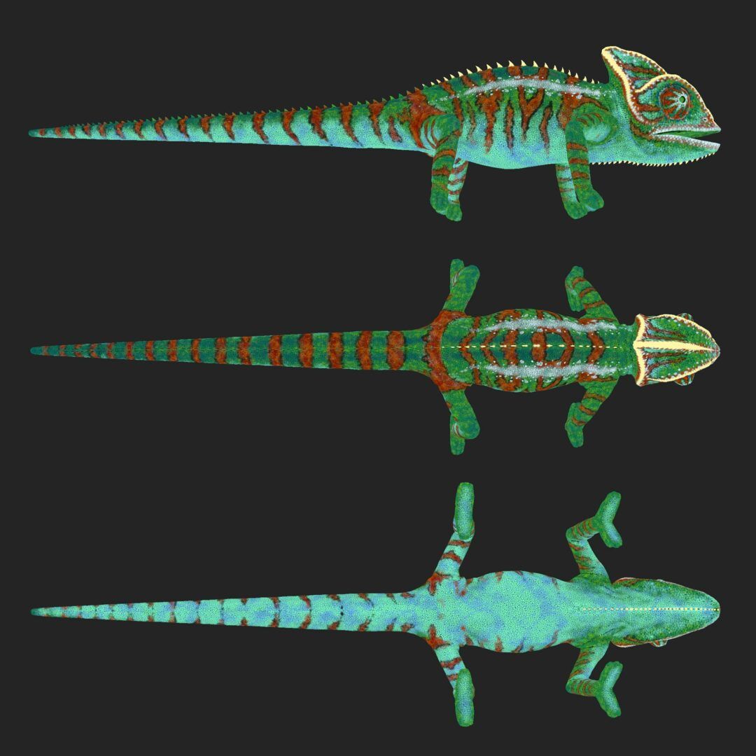 Photo-realistic Rigged Chameleon Maya Model for Download
