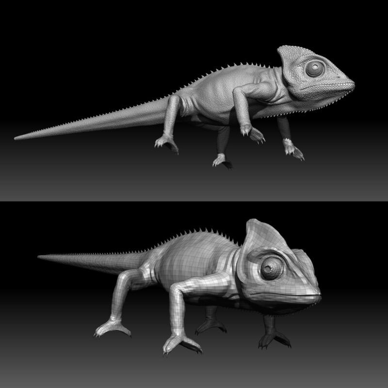 Photo-realistic Rigged Chameleon Maya Model for Download